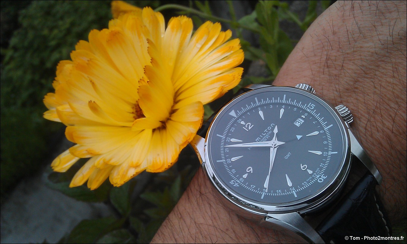 Photo de Montres - Hamilton Jazzmaster Traveler GMT2