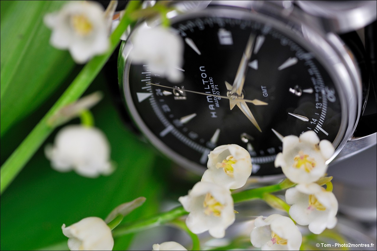 Watch pics - Hamilton Jazzmaster Traveler GMT2