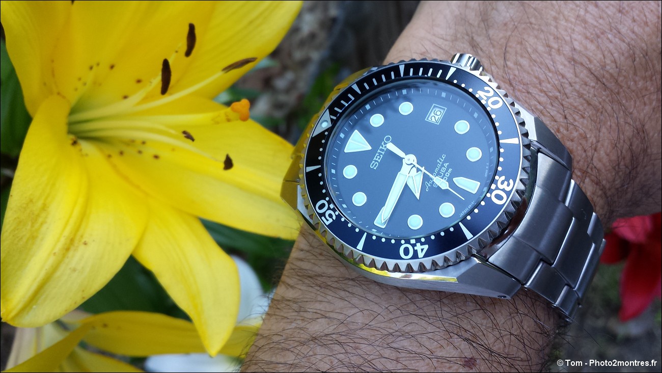 Watch pics - Seiko Shogun